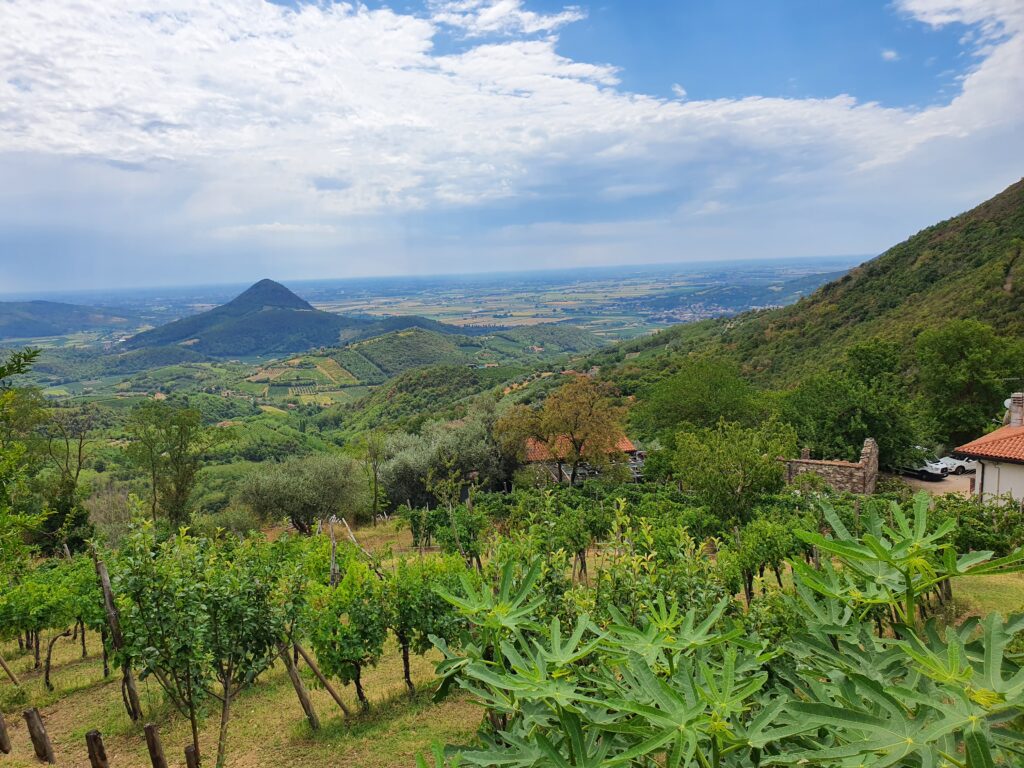 Parco Colli nel Mab Unesco: le perplessità delle associazioni ...